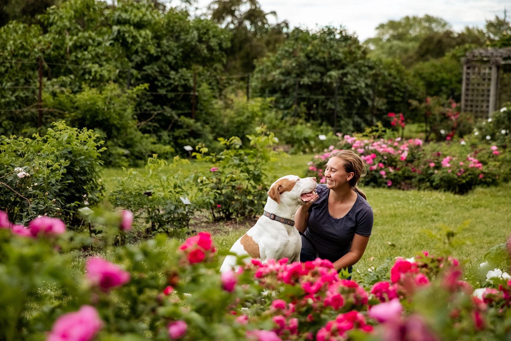 Learn to Listen: The Whole Dog Enrichment Program – Pet Intel.ca